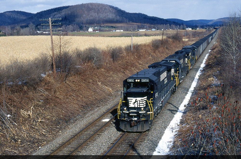 NS 8729